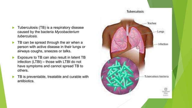 TUBERCULOSIS.pptx