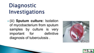 Tuberculosis in english tb | PPTX