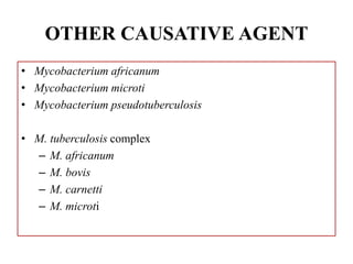 Tuberculosis in immunosuppressed | PPT