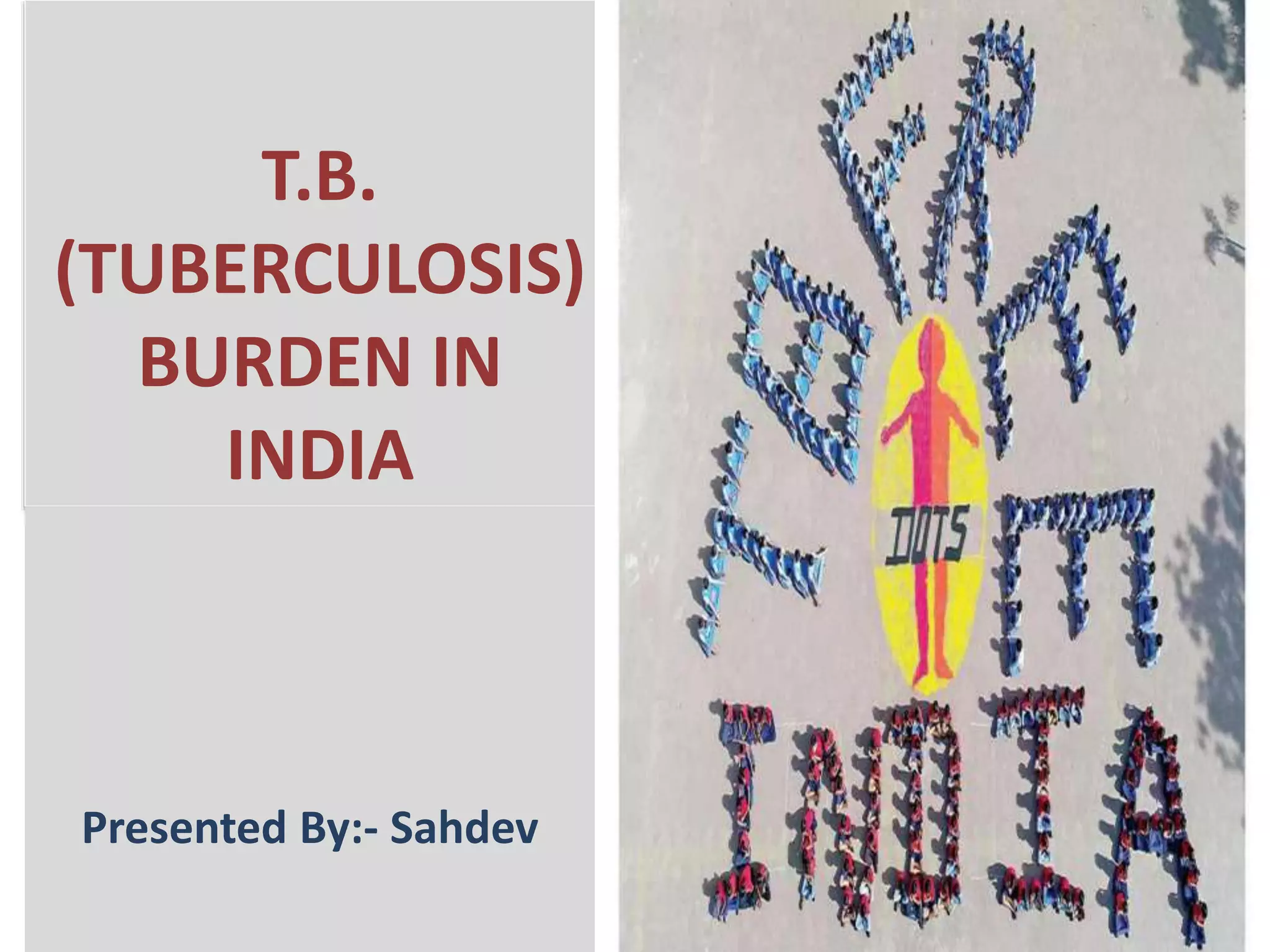 Tuberculosis in india | PPTX