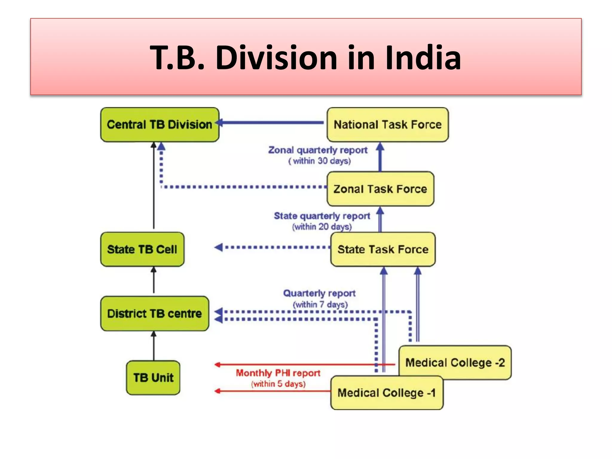 Tuberculosis in india | PPTX