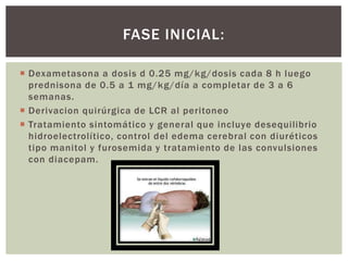 Tuberculosis meningea | PPTX