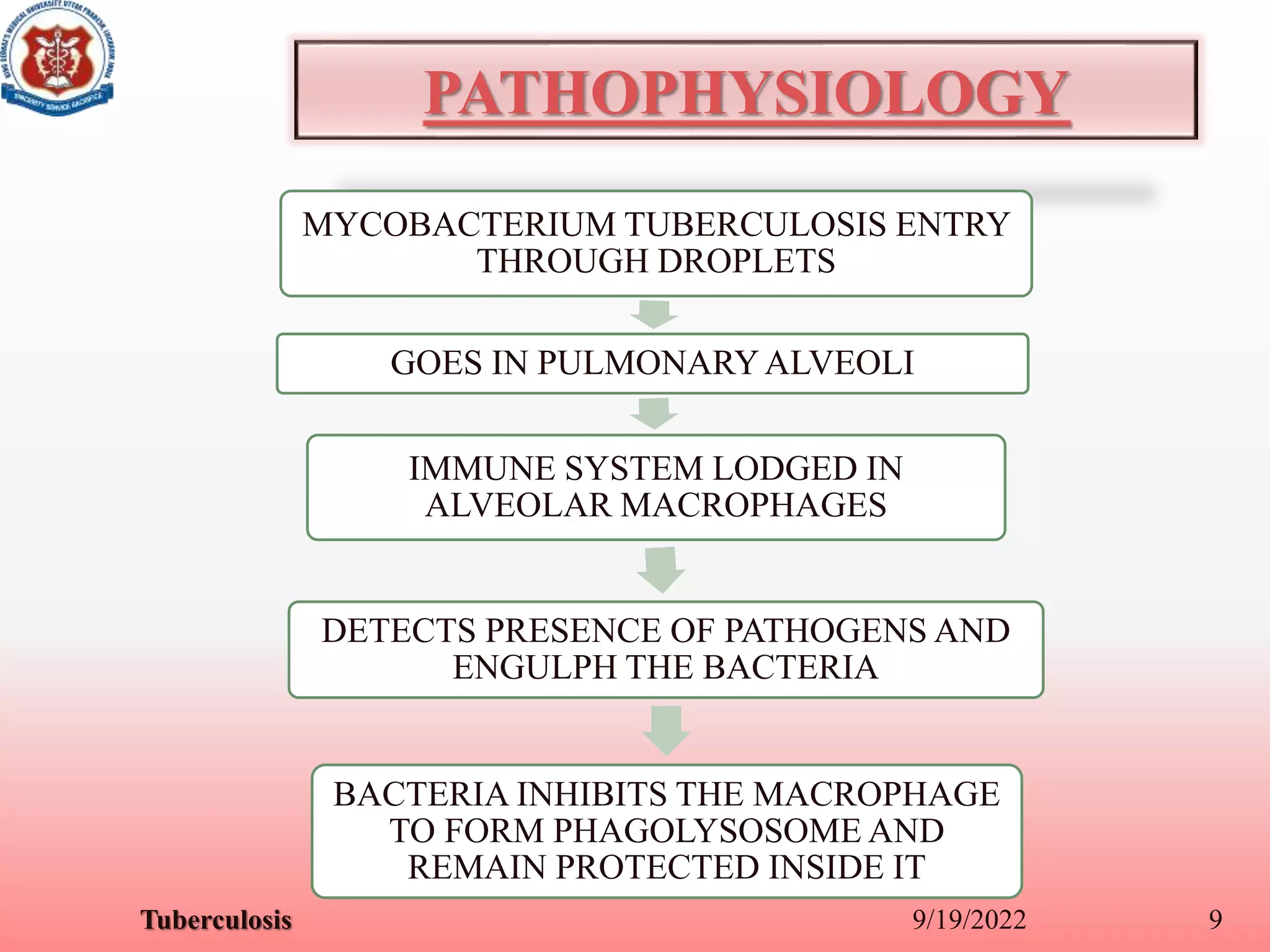tuberculosis (MSN).pptx