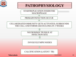 tuberculosis (MSN).pptx