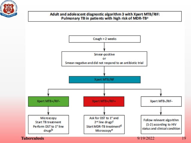 tuberculosis (MSN).pptx | Lung and Respiratory Health | Diseases and Conditions