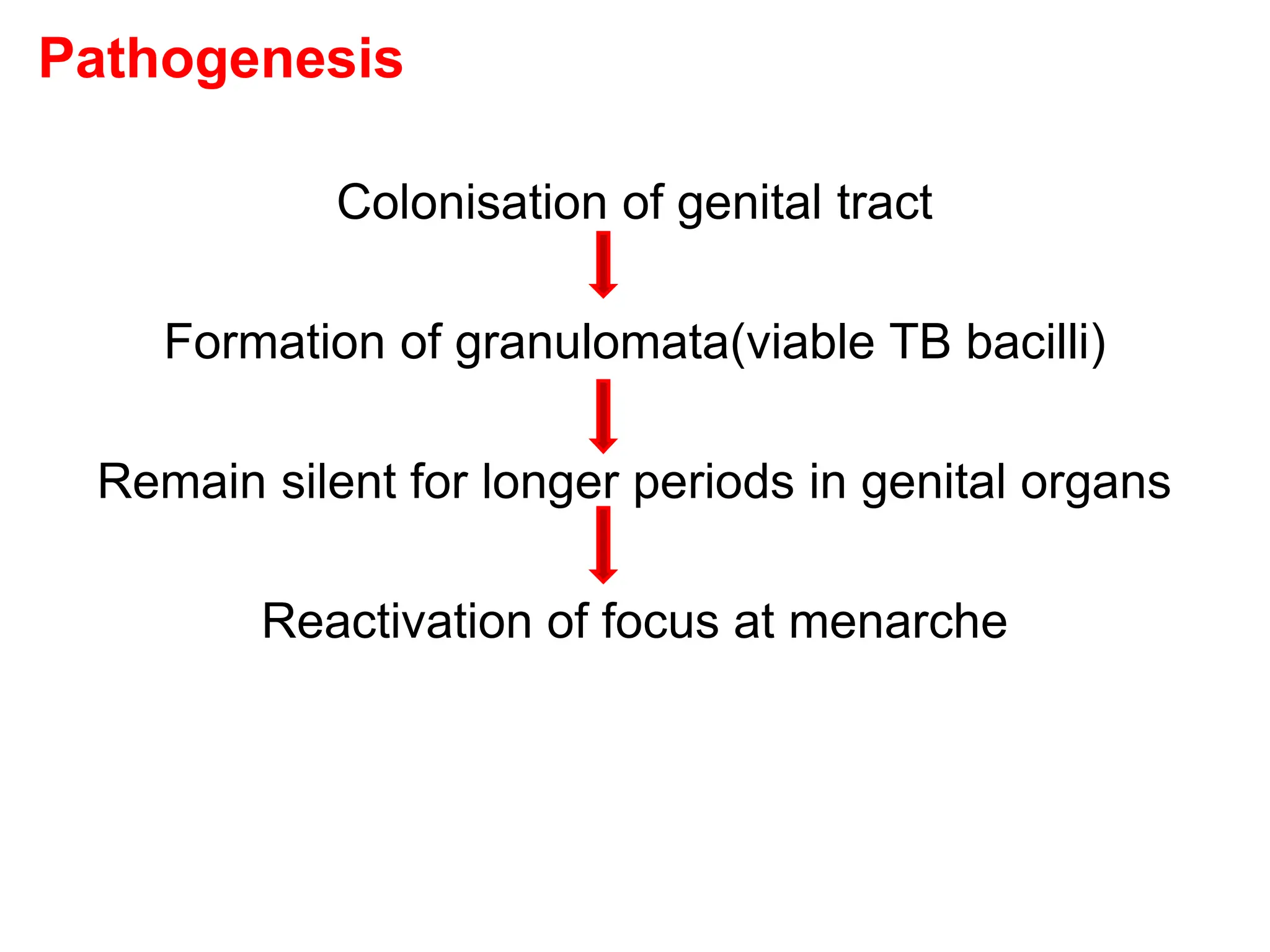 Tuberculosis of genital tract presentation | PPTX