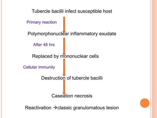 Tuberculosis of genital tract presentation | PPTX | Infertility ...