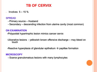 Tuberculosis of genital tract power point | PPTX