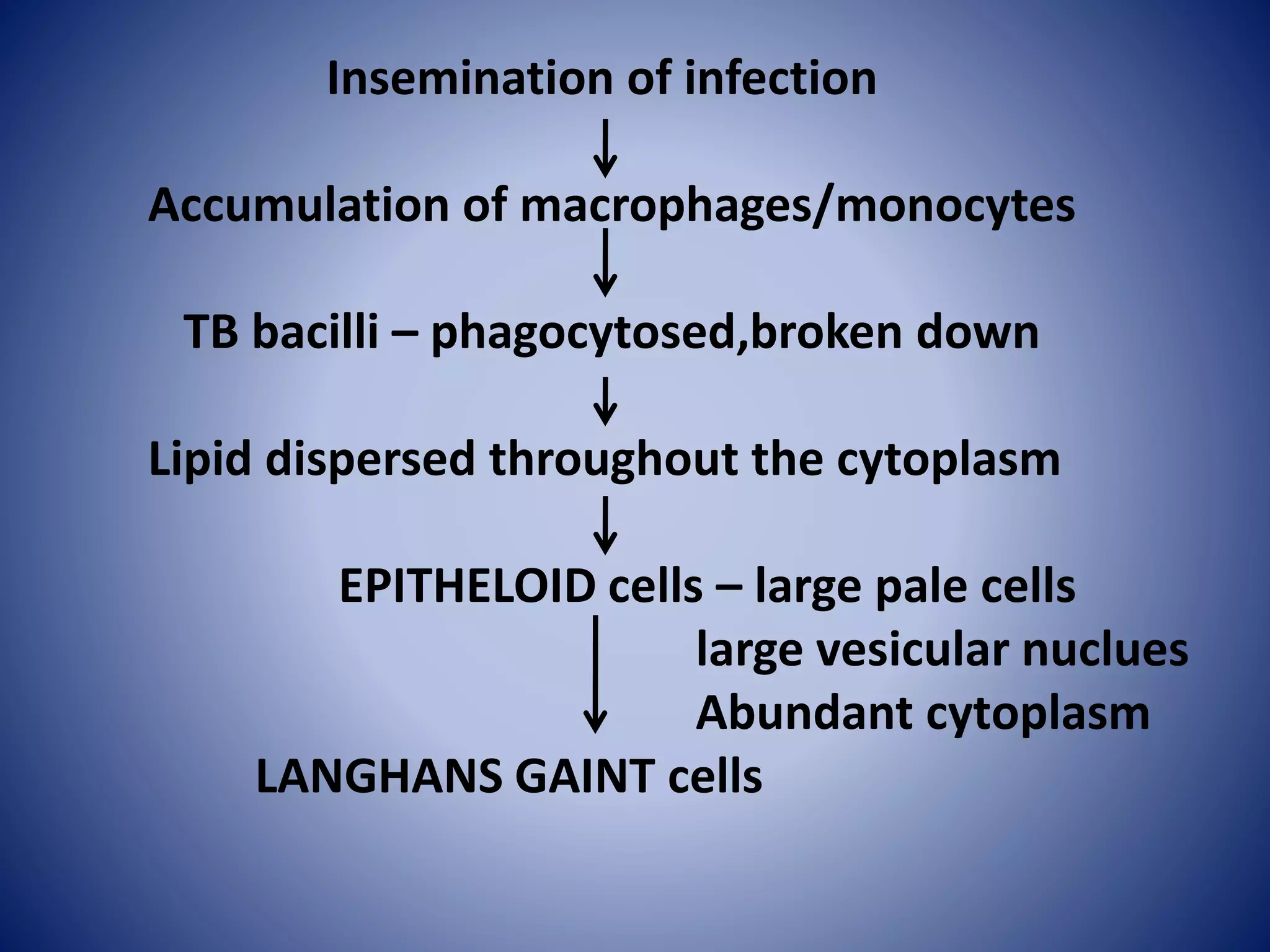 Tuberculosis of hip joint | PPTX