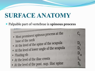 TUBERCULOSIS OF SPINE.pptx
