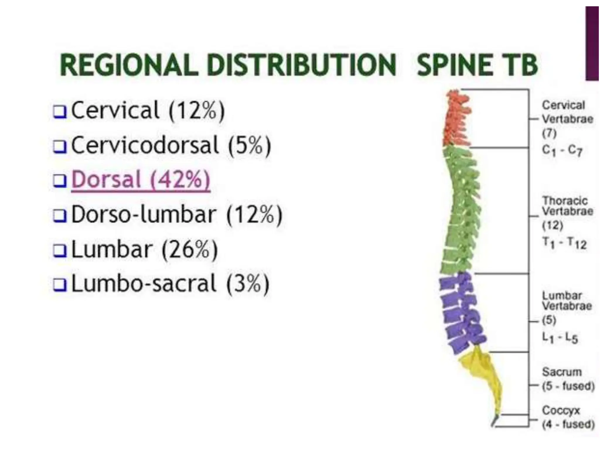 TUBERCULOSIS OF SPINE by Ravi pg student | PPT