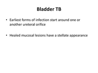 tuberculosis_of_urinary_tract.ppt