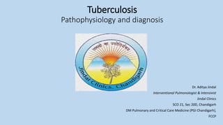Tuberculosis pathophysiology and diagnosis | Jindal Chest Clinic | PPTX