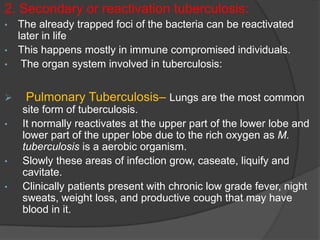 Tuberculosis | PDF | Lung and Respiratory Health | Diseases and Conditions