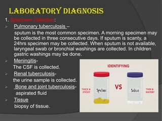 Tuberculosis | PDF | Lung and Respiratory Health | Diseases and Conditions