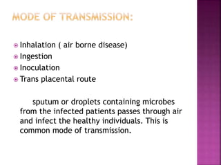 Tuberculosis | PPTX | Lung and Respiratory Health | Diseases and Conditions