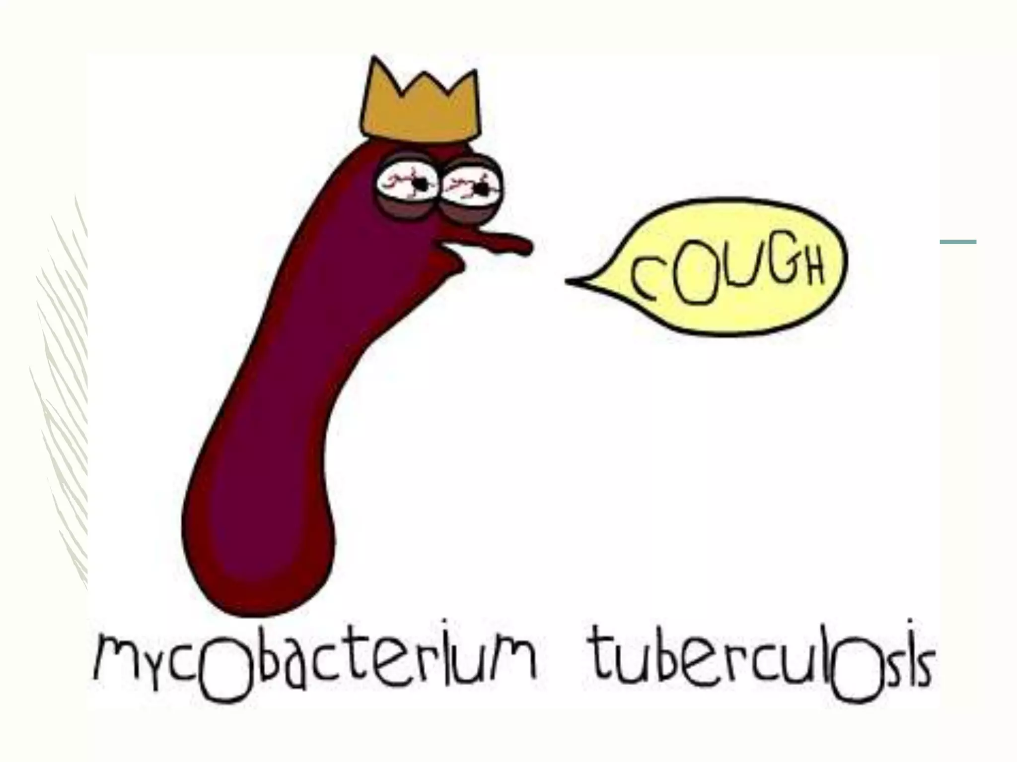 Tuberculosis Ppt Pptx