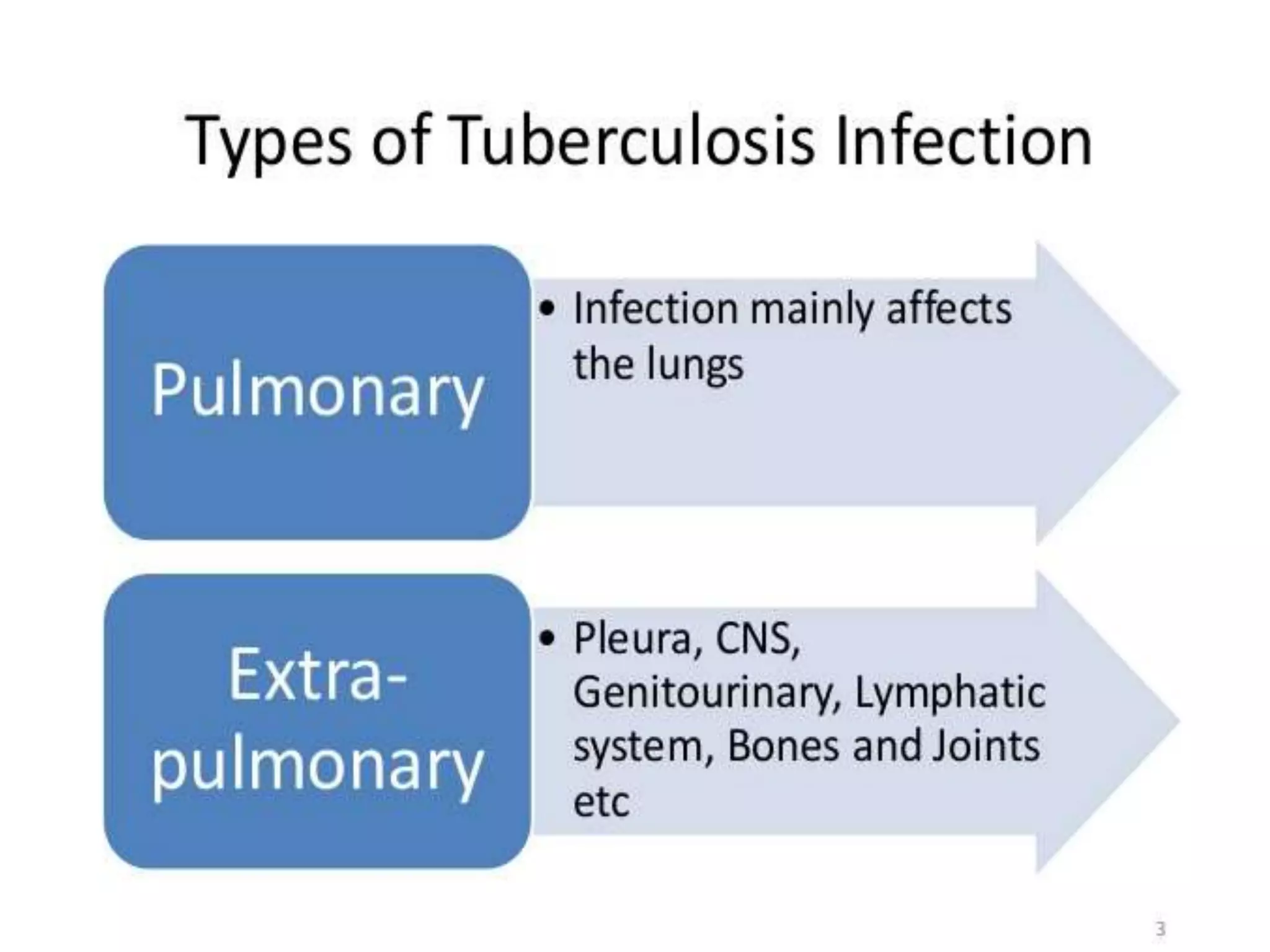 Tuberculosis ppt | PPTX