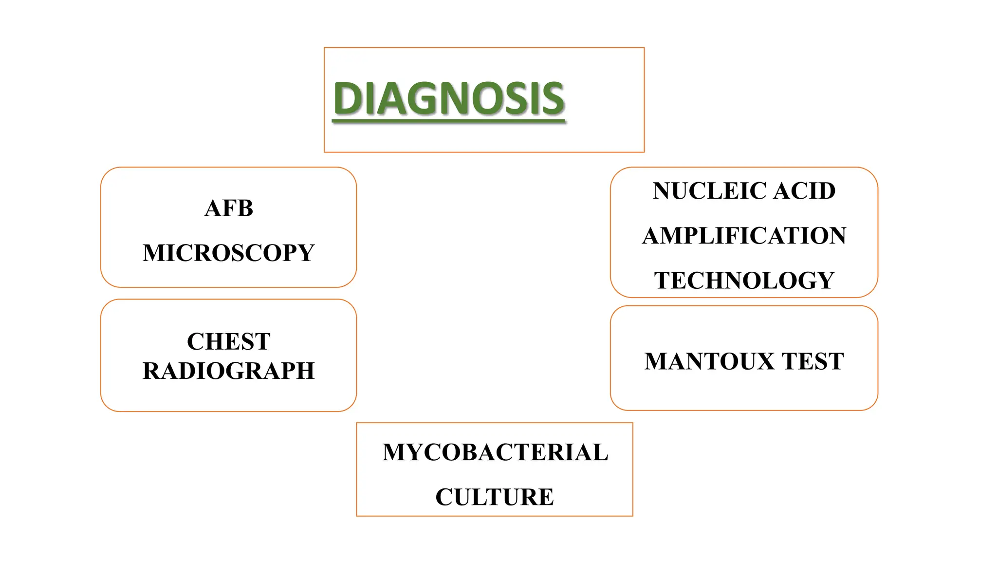 TUBERCULOSIS PPT.pptx
