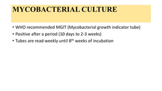 TUBERCULOSIS PPT.pptx