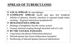 TUBERCULOSIS PPT.pptx