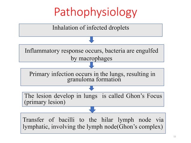 Tuberculosis presentation with introduction of its bacteria | PPTX ...