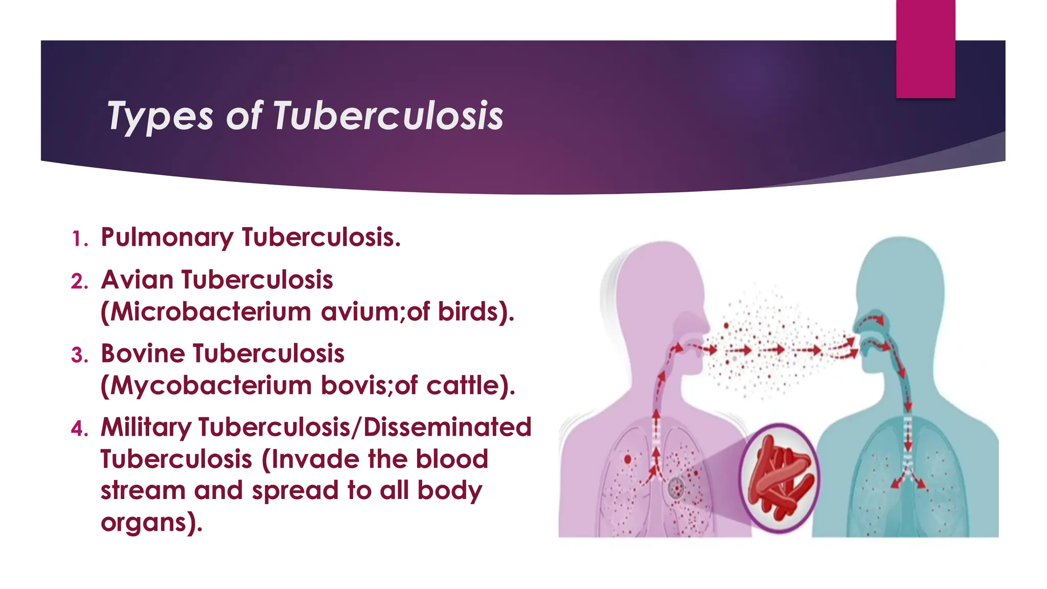 Tuberculosis presentation made by neha kumari..pdf