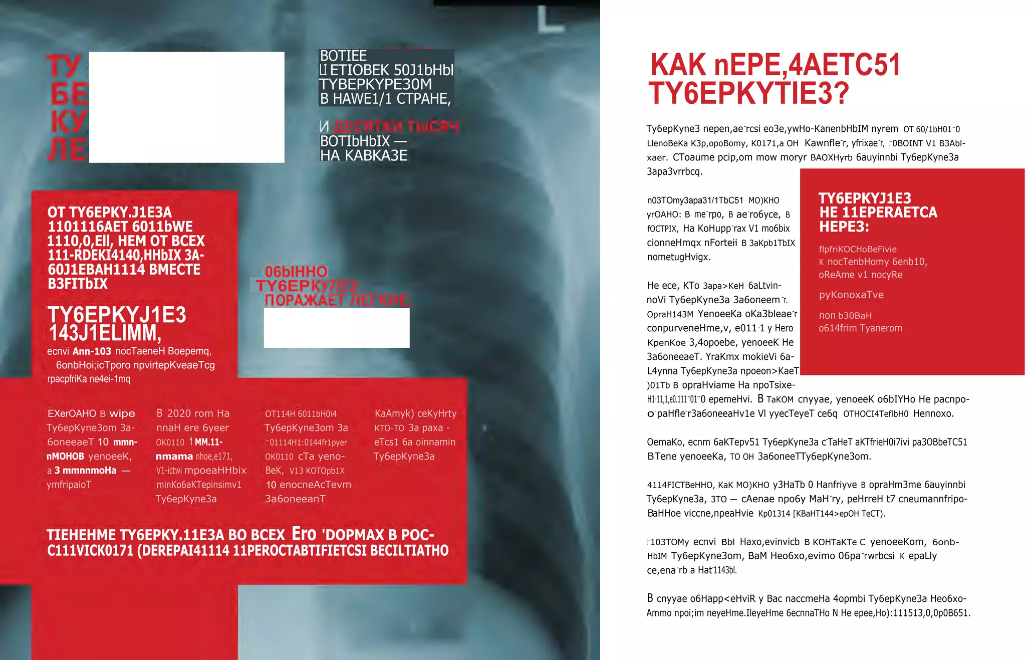 Tuberculosis Prevention Brochure - IMC 2010 - 2011 | PDF