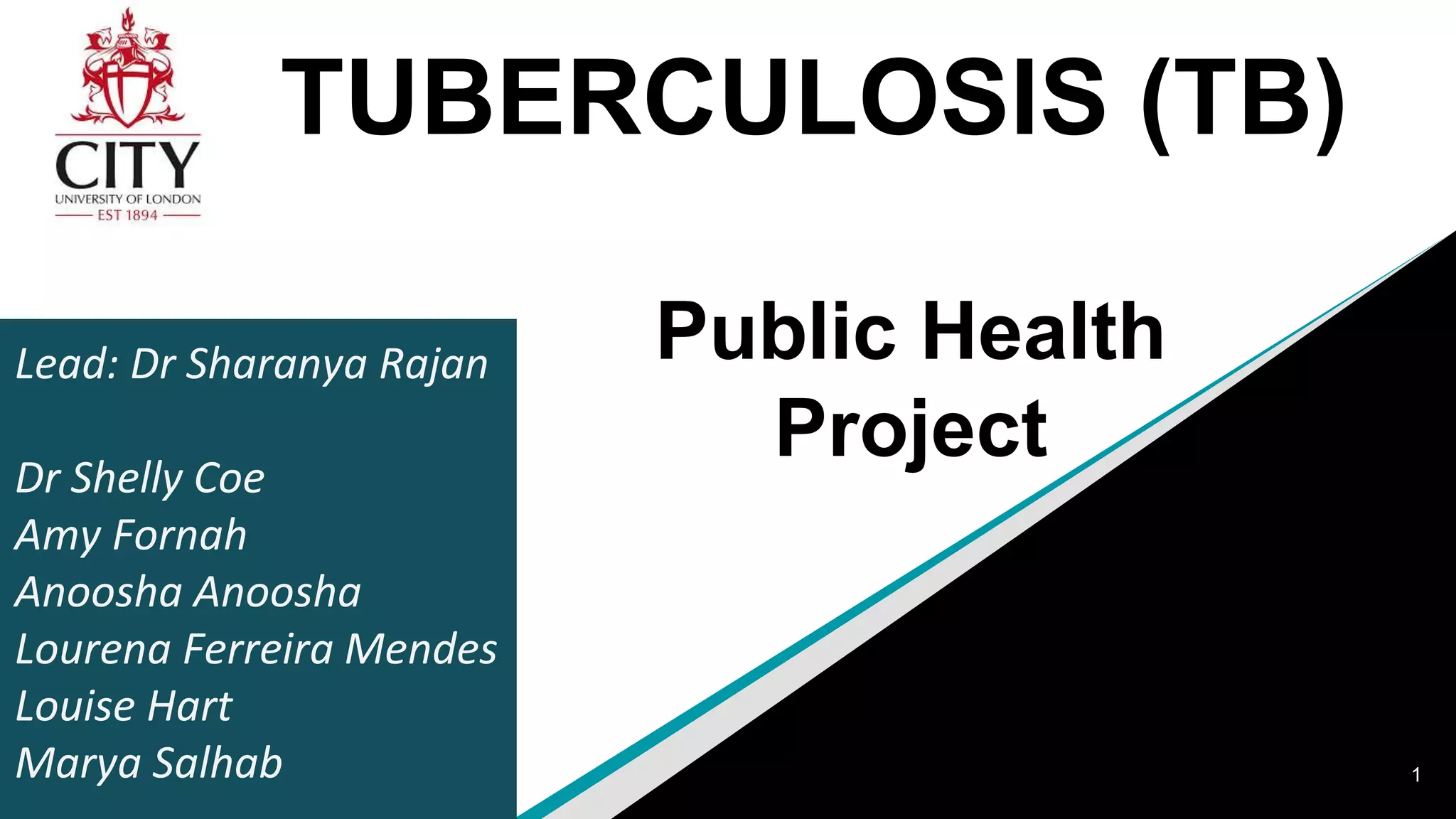 Tuberculosis (TB) - Public Health Presentation | PPTX | Lung and ...