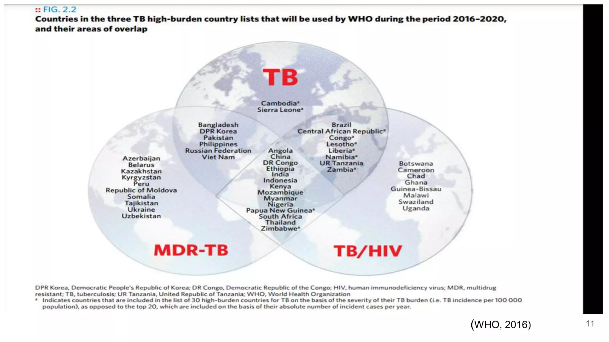 Tuberculosis (TB) - Public Health Presentation | PPTX | Lung and ...