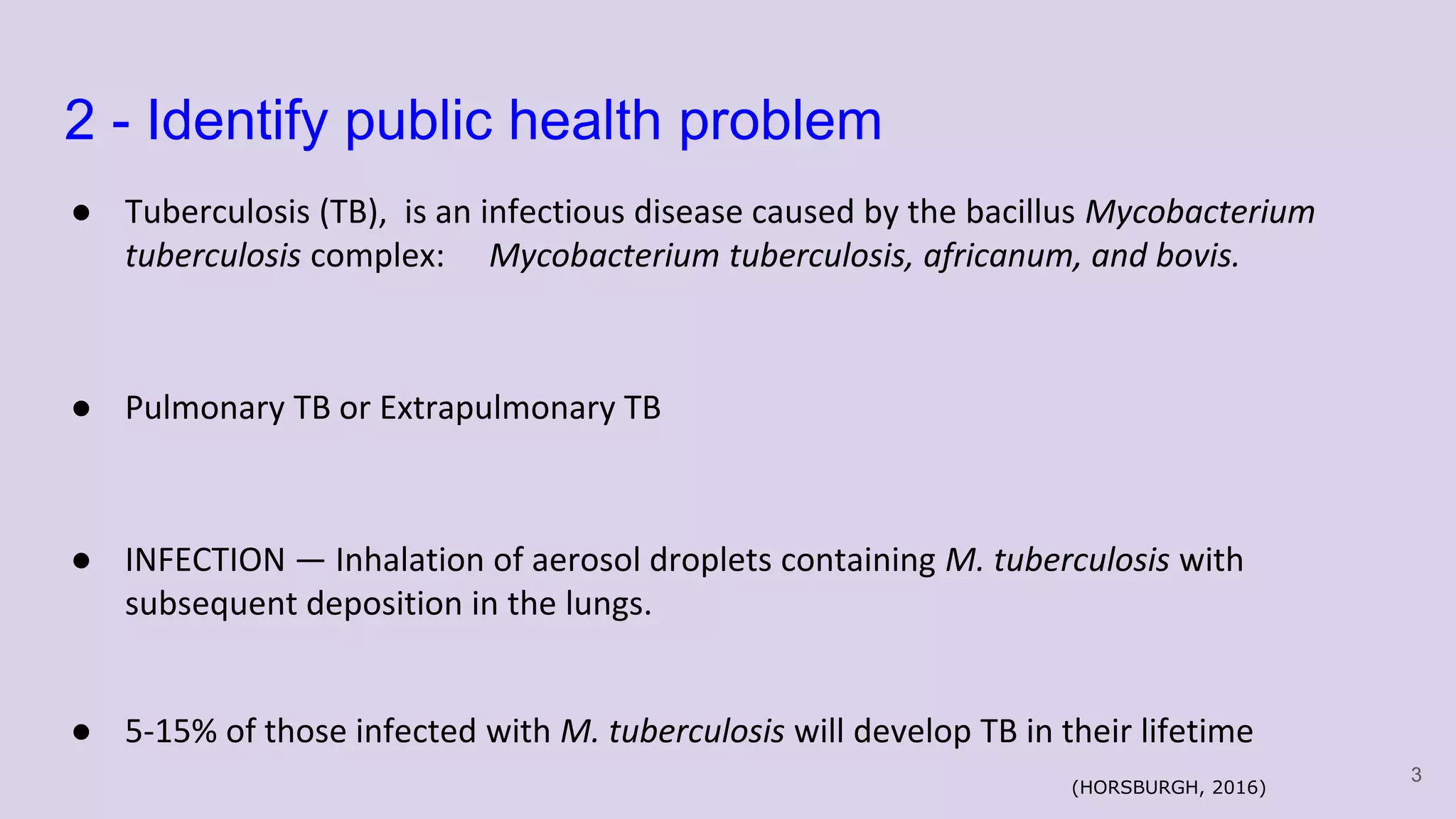 Tuberculosis (TB) - Public Health Presentation | PPTX | Lung and ...