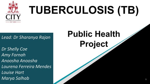 Tuberculosis (TB) - Public Health Presentation | PPTX | Lung and ...