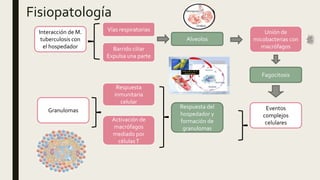 Tuberculosis pulmonar | PPTX