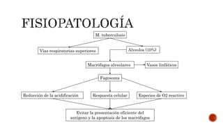 Tuberculosis pulmonar | PPTX