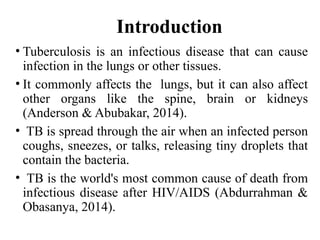 Tuberculosis slide : 2024/2025 PowerPoint | PPTX