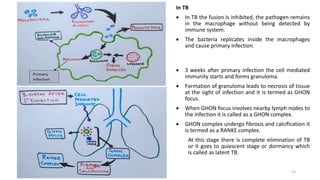Tuberculosis (tb) | PPT