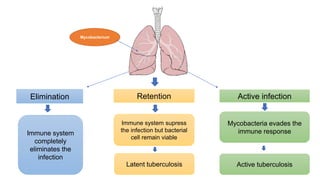 Tuberculosis (tb) | PPT