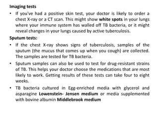 Tuberculosis (TB)-Notes.pdf microbiology notes | PDF