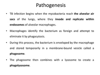 Tuberculosis (TB)-Notes.pdf microbiology notes | PDF