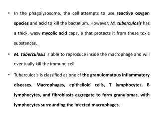Tuberculosis (TB)-Notes.pdf microbiology notes | PDF