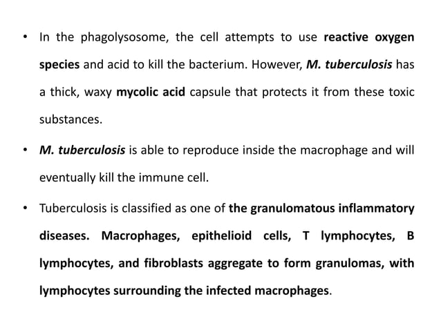 Tuberculosis (TB)-Notes.pdf microbiology notes | PDF | Lung and ...