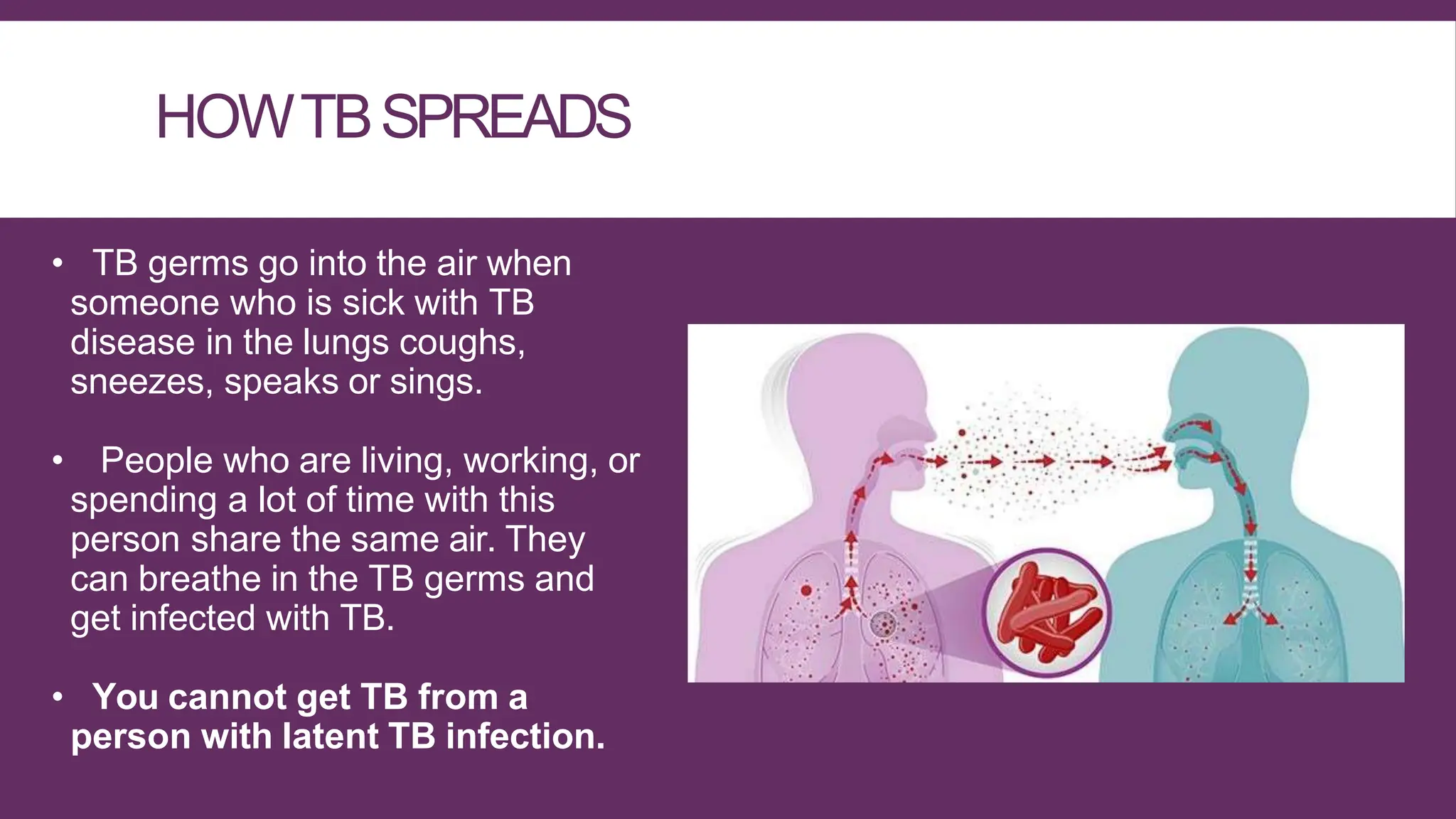 Tuberculosis (T. B) Presentation . pptx | PPT