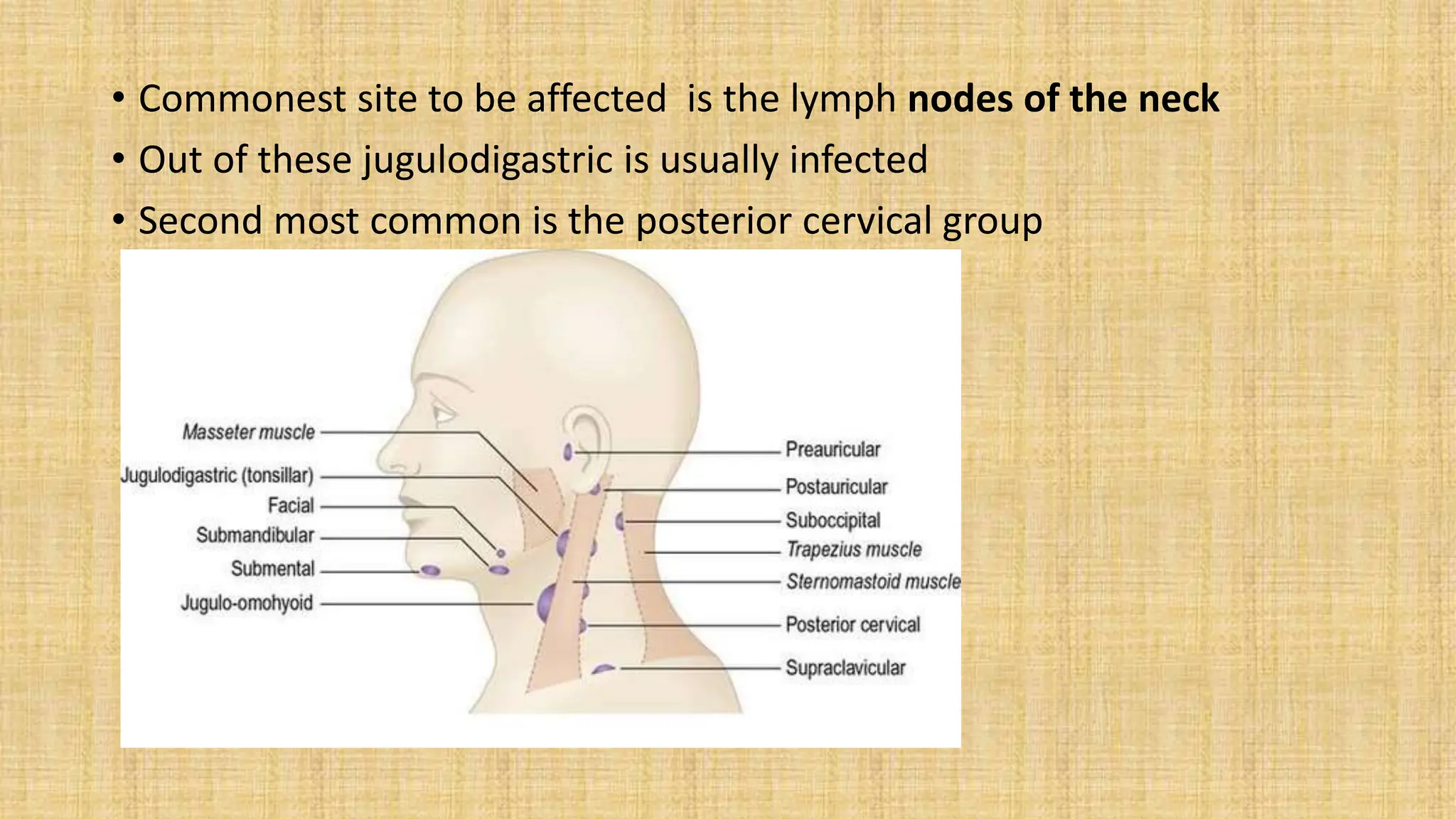 TUBERCULOUS LYMPHADENITIS.pptx