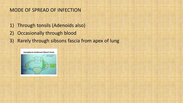 TUBERCULOUS LYMPHADENITIS.pptx | Ear, Nose and Throat Conditions ...
