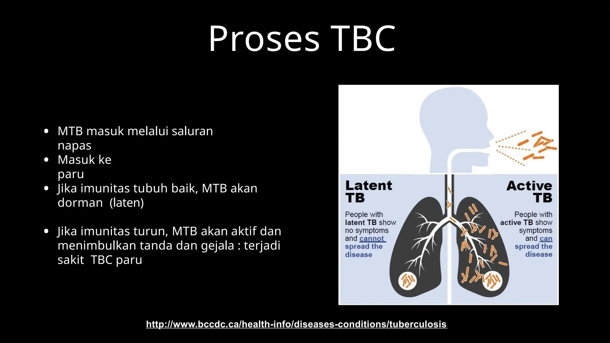 Paparan Penyakit TB (Tuberkulosis) .pptx