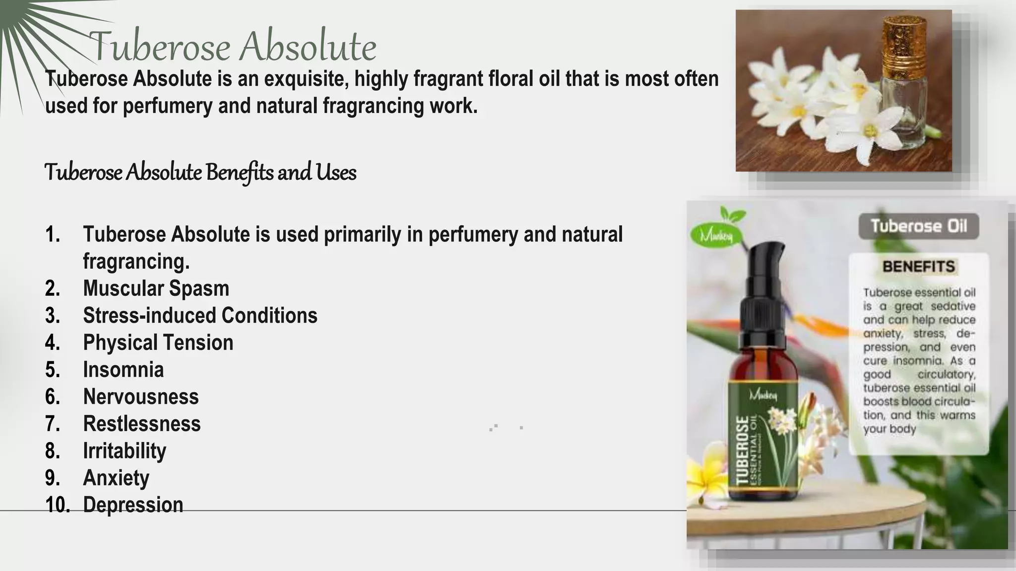 Tuberose.pptx