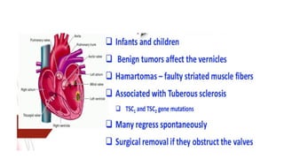 Tuberous sclerosis is one of the neurocutaneous syndromes | PPTX