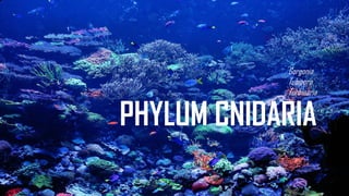 Tubipora gorgonia turbinaria | PDF