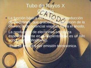 Tubo de rayos x Naomi y Miriam | ODP