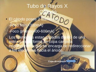 Tubo de rayos x Naomi y Miriam | ODP